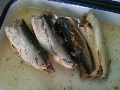 China EU Certified Canned Mackerel in Brine 155g-425g with High Omega-3 Fatty Acids for Heart Health for sale