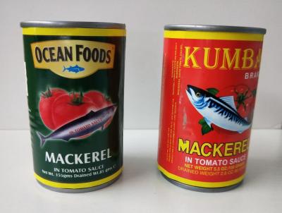 China Premium Canned Mackerel 160g with 28g Protein and 280 Calories - Rich in Calcium and Iron for sale
