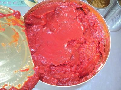 China Versatile Canned Tomato Puree with Tomato as Primary Ingredient for sale