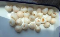 China Canned Lychee Fruit in Syrup 425g-2.84kg with 4.0-4.5 pH and 3-Year Shelf Life for sale