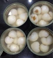 China Whole White Canned Lychee in Light Syrup 567g Net Weight with 14-17% Brix Level - 24 Cans per Carton for sale