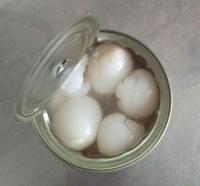 China Premium Canned Lychee Fruits in Syrup - 567g and 2840g Net Weight Options with 14-20° Brix Levels for sale