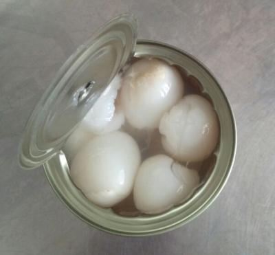 China Premium Canned Lychee Fruits in Syrup - 567g and 2840g Net Weight Options with 14-20° Brix Levels for sale
