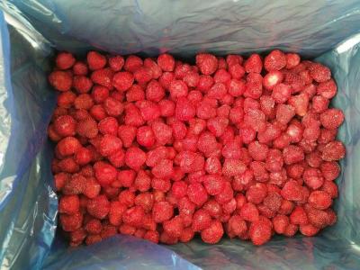 China IQF Frozen Strawberries Bulk 10kg Carton - Whole 15-35mm, Dice 6-12mm, Slice 3-8mm Options for sale