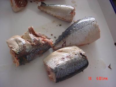 China Canned Mackerel in Brine and Tomato Sauce 425g x 24 Cans with 280g Drained Weight No Artificial Additives for sale