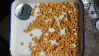 China Canned Chickpeas in Brine 425g-2840g with 3 Year Shelf Life | Easy Open Tin Design for sale
