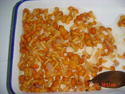 China Canned Nameko Mushrooms in 314ml 370ml 580ml Glass Jars - 3 Year Shelf Life with ISO HACCP Certification for sale