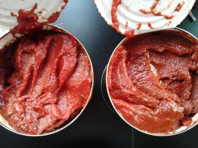 China Canned Tomato Paste Steamed Processing 2 Year Shelf Life No Additives BRC HACCP HALAL for sale
