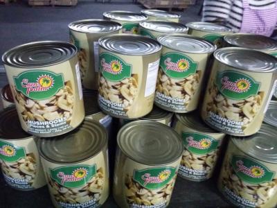 China Canned Whole Mushroom 24x425ml Tins Brine 240g Drained Weight BRC HACCP Halal for sale