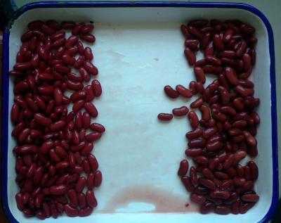 China Premium Dark British Red Kidney Beans in 425ml, 850ml & 2650ml Cans - Choice Grade Quality for sale