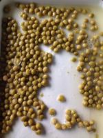 China Canned Green Peas in Brine 400g-3000g Tins with HACCP/ISO/BRC Certification and Custom Branding Options for sale