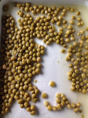 China Canned Green Peas in Brine 400g-3000g Tins with HACCP/ISO/BRC Certification and Custom Branding Options for sale