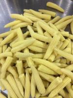 China Canned Baby Corn in Brine 2840g and 850g Sizes with Easy-Open Lids for Food Service and Retail for sale