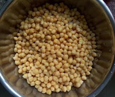 China Canned Chickpeas Garbanzo in Brine 425g, 567g, 800g Sizes with Custom Brand Labeling for sale