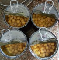 China Canned Chickpeas Garbanzo Beans 400g & 3000g Net Weight Bulk Protein-Rich Food Ingredient for sale