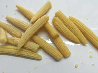 China Whole Canned Baby Corn in Brine - 2840g to 340g Sizes with 1500g to 200g Drain Weights for sale