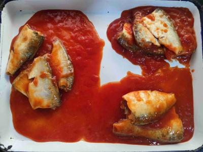 China Canned Mackerel in Tomato Sauce 400g Ready to Eat BRC Certified for sale
