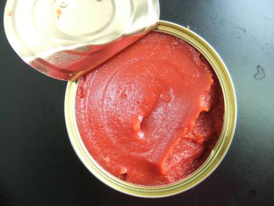 China ISO Certified Canned Tomato Paste with Salt Non-GMO 28-30 Brix 2 Year Shelf Life for sale