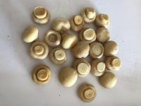 China Canned Button Mushrooms Whole 184g 425g 2840g Bulk Export for sale