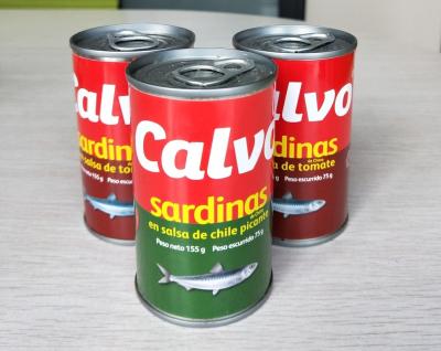 China Calvo Brand Canned Sardines in Tomato Sauce 155g with or without Chili for Export for sale