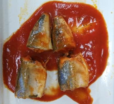 China 425g Canned Mackerel in Tomato Sauce - Soft Taste, No Impurities, Omega-3 Rich Fish Product for sale