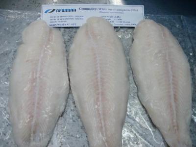China Frozen Pangasius Fillet Basa Fish from Vietnam - 24 Month Shelf Life, HACCP & HALAL Certified for sale