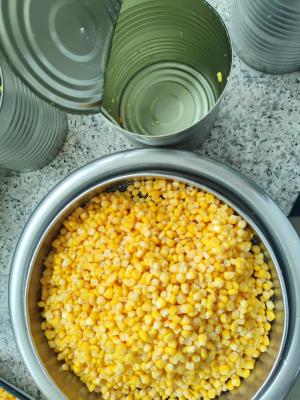China Non GMO Super Sweet Canned Corn 1800g Drained Weight 7.5-9.0 Syrup Easy Open Packing for sale