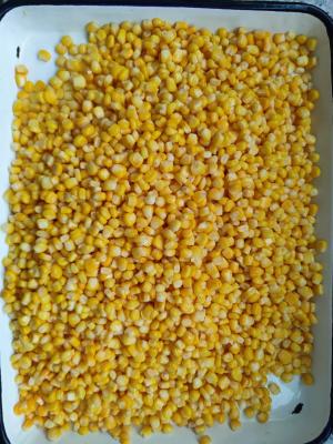 China Whole Kernel Yellow Canned Sweet Corn For Cooking for sale