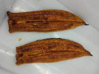 China Premium Japanese Sushi Frozen Unagi Kabayaki Headless Back Cut Roasted Eel 10kg Carton for sale