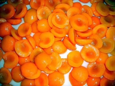 China Canned Apricot Halves in Syrup 425g-4250g Range with 3-Year Shelf Life | FDA & BRC Certified for sale