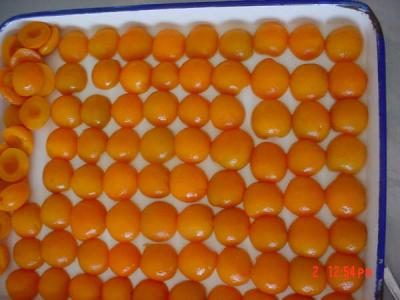 China Canned Apricot Halves in Light Syrup 14-17% Brix - 425g, 820g, 3000g Sizes with BRC/FDA/ISO Certification for sale