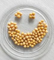 China Wholesale Canned Chickpeas 400g with 240g Drained Weight - HACCP/ISO/BRC Certified Food Product for sale