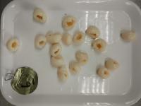 China Canned Lychee Whole in Syrup - 425g to 2840g Tin Sizes with 3-Year Shelf Life | BRC/HACCP Certified for sale
