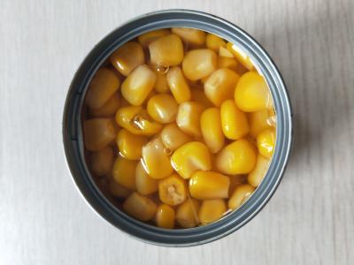 China Canned Sweet Corn Kernels Yellow 567G 2500G 2840G 3KG BRC HACCP HALAL for sale