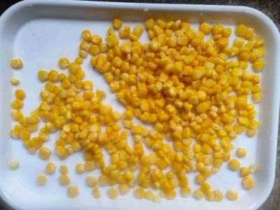 China Convenient Canned Sweet Corn with Easy Open Lid Canned Corn Kernels for sale