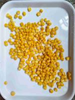 China Delicious Cultivation Type Non-GMO Canned Sweet Corn For Export for sale