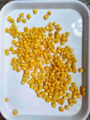 China Delicious Cultivation Type Non-GMO Canned Sweet Corn For Export for sale