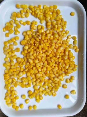 China Ready to Eat Canned Super Sweet Whole Kernel Sweet Corn 1800g Drained Weight for sale