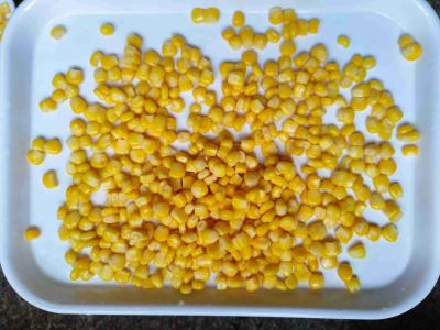 China Seasoned Canned Yellow Corn 400g Ready to Eat Sweet Corn for B2B Export for sale