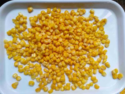 China Canned Sweet Corn Soft Texture Ready to Eat 340g 425g Grade A Vacuum Packed for sale