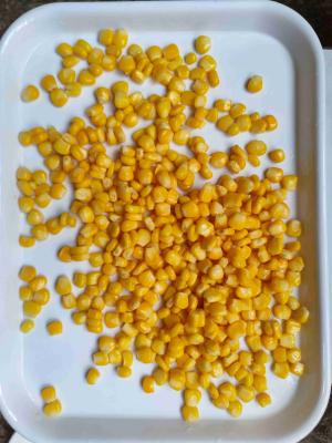 China Hassle Free Non GMO Sweet Corn Kernels In Can for sale