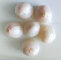 China Canned Lychee in Light Syrup 14-17 Brix 567g Tin for Family Snacks for sale