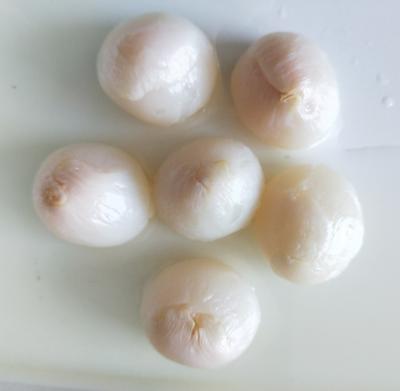 China Canned Lychee in Light Syrup 14-17 Brix 567g Tin for Family Snacks for sale