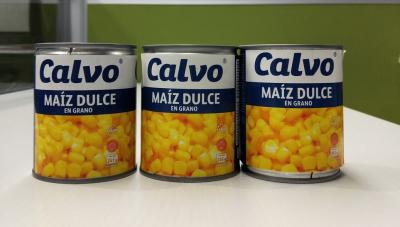 China Calvo Canned Sweet Corn Maiz Dulce 241g Net Weight 5.784kg Carton for Central America for sale