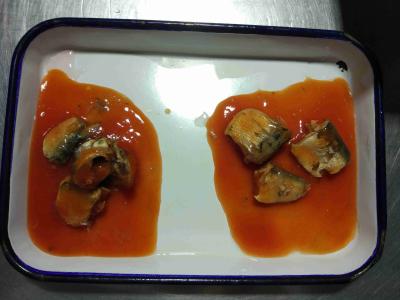 China Canned Sardines in Tomato Sauce 425g 24 Tins Bulk Export Ready to Eat for sale