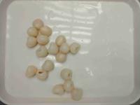 China Canned Lychee in Light Syrup 14-17 Brix 567g Tin for Snacks and Desserts for sale