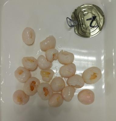 China Canned Lychee in Light Syrup 14-17% Brix 567g Tin Sweet Creamy White Fruit for sale