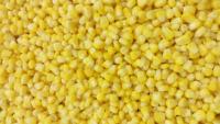 China EOE Stackable Canned Sweet Corn Kernel Super Sweet 425g with Private Label - 3 Year Shelf Life for sale