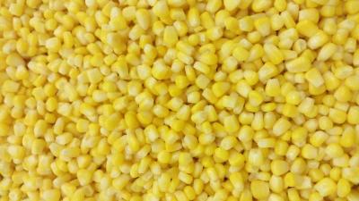 China EOE Stackable Canned Sweet Corn Kernel Super Sweet 425g with Private Label - 3 Year Shelf Life for sale