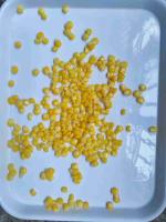 China Canned Sweet Corn Whole Kernel 6/A10 Metal Tin 5-8% Brix Super Sweet for sale